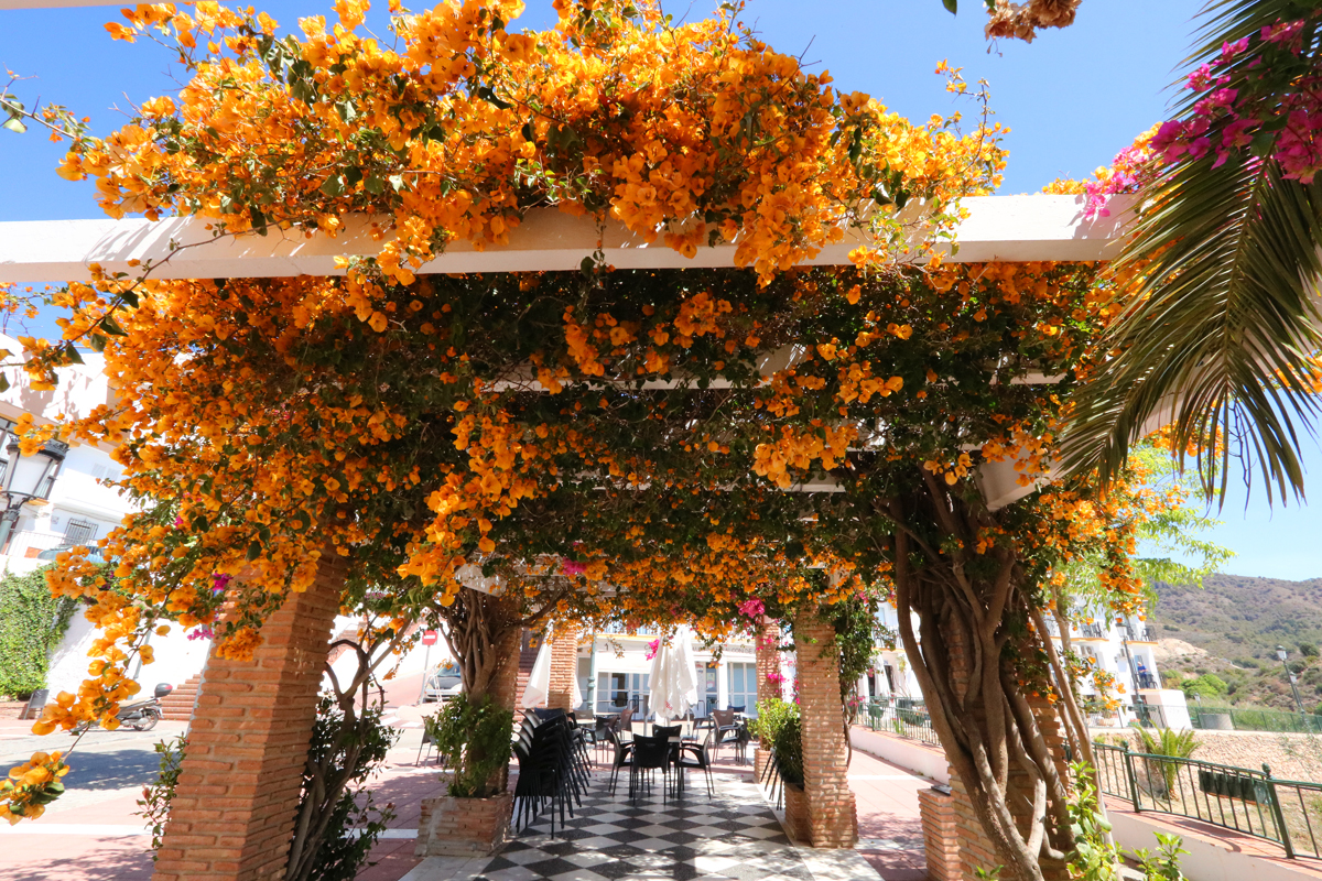 Visiting Maro - Mapping Spain