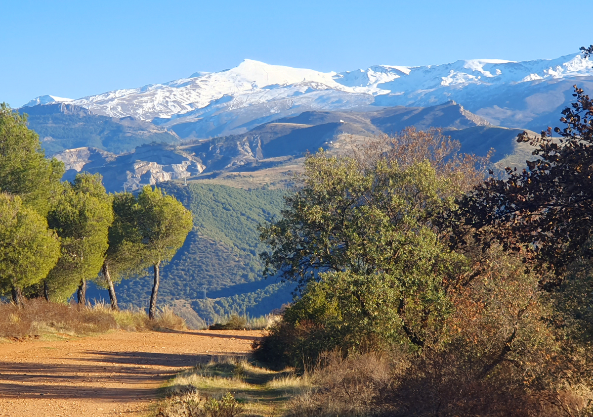 All the Reasons to love Granada as a place to live in Spain - Mapping Spain